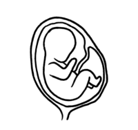 About Oncofertility - My Cancer Fertility