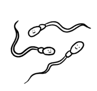 About Oncofertility - My Cancer Fertility